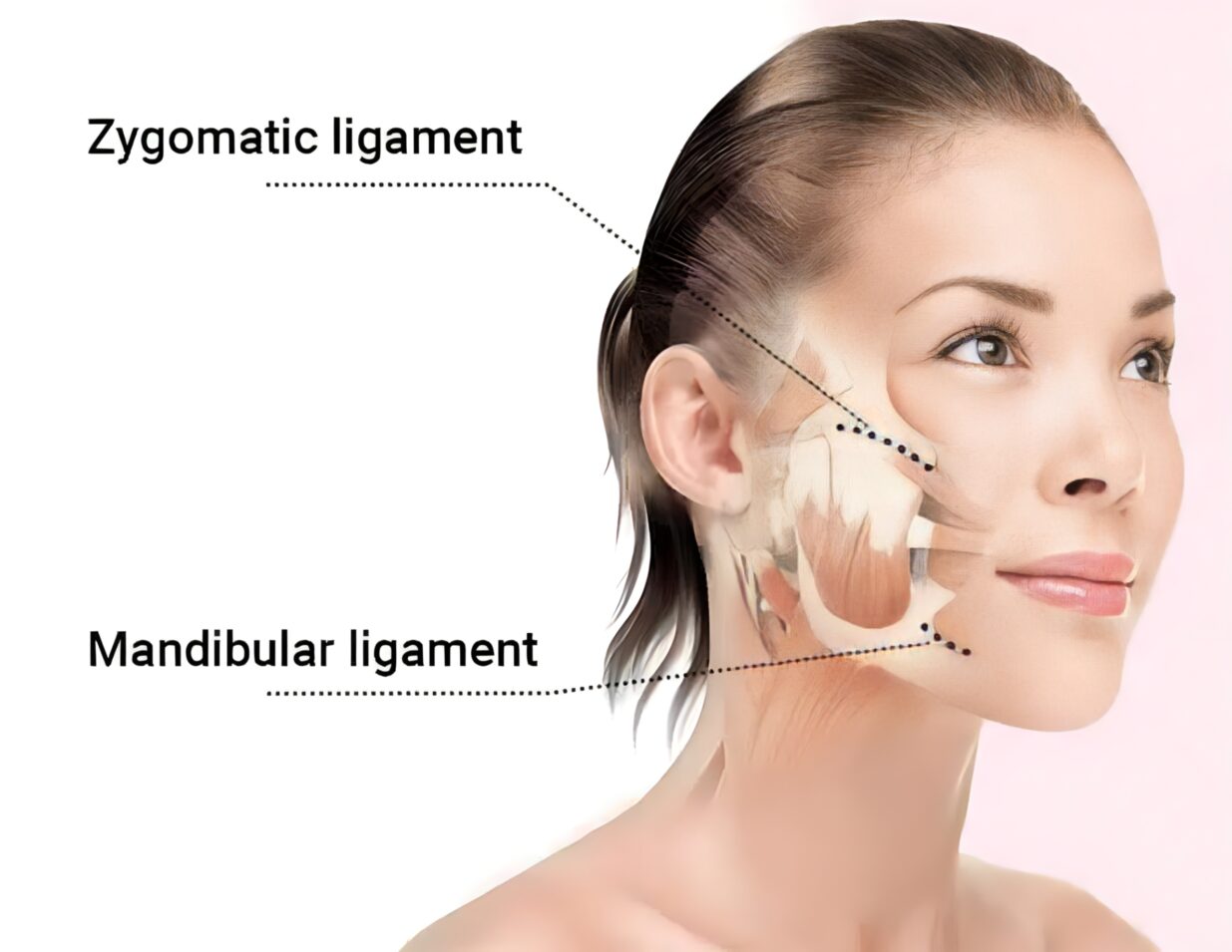 Facelift Miami | Dr. Bustillo: Expert Facelift Surgeon